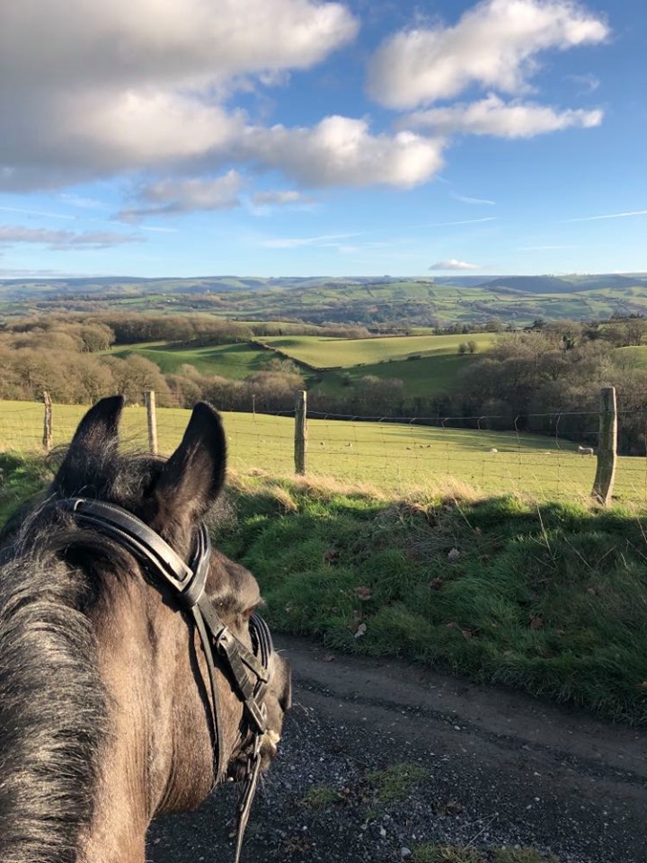 Guest Reviews – Bechan Retreats